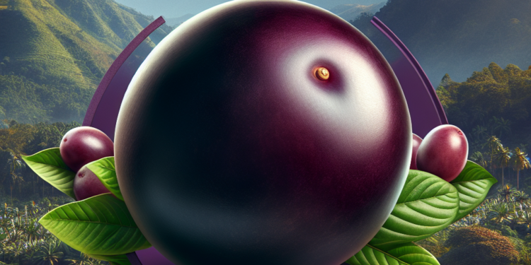 ℹ Descubriendo la Fruta Jamun: Todo lo que necesitas saber en Colombia